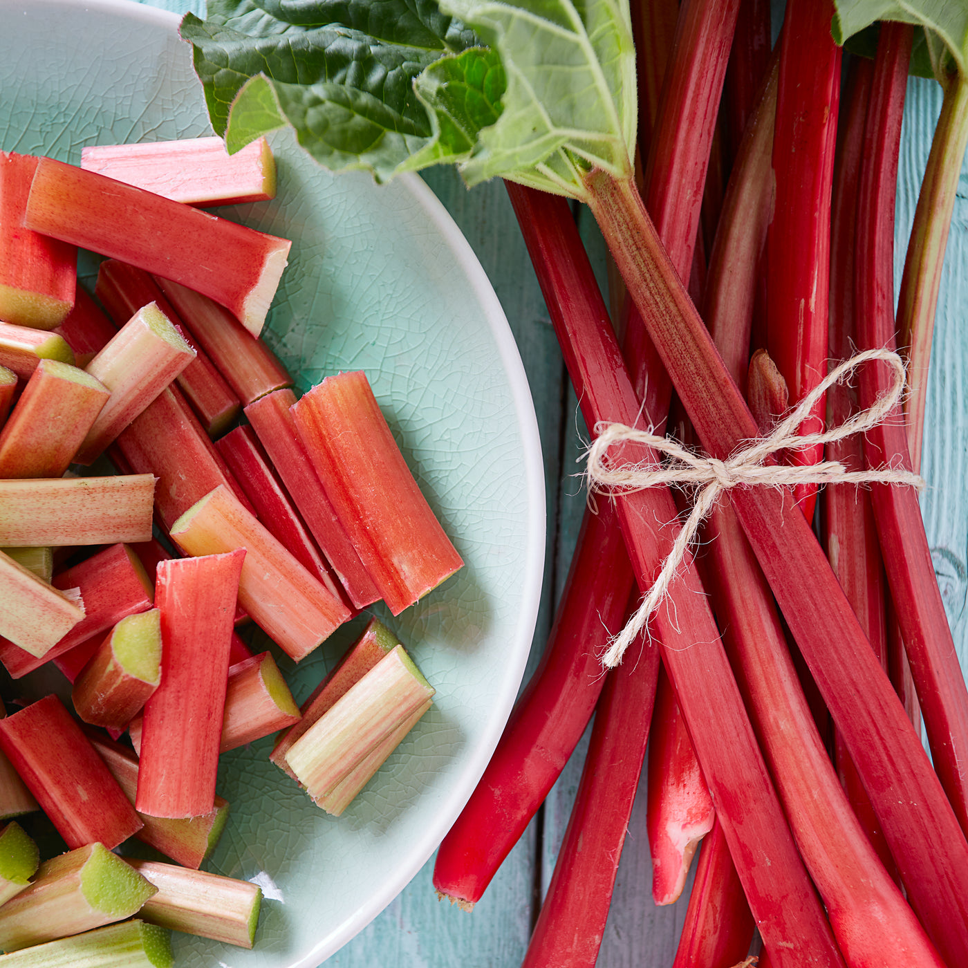 Rabarbar Malinowy - Sadzonka – Niezłe Ziółko